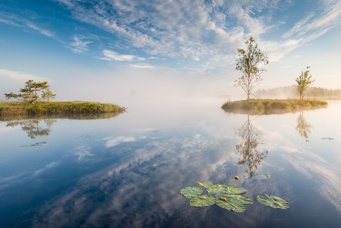 Antti Partanen Photography - Laitila | Vertaa parhaat | Valokuvaajat.fi